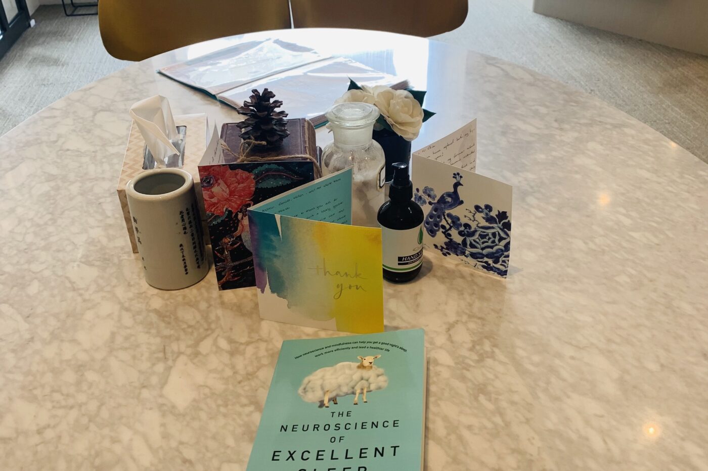 The Neuroscience of Excellent Sleep